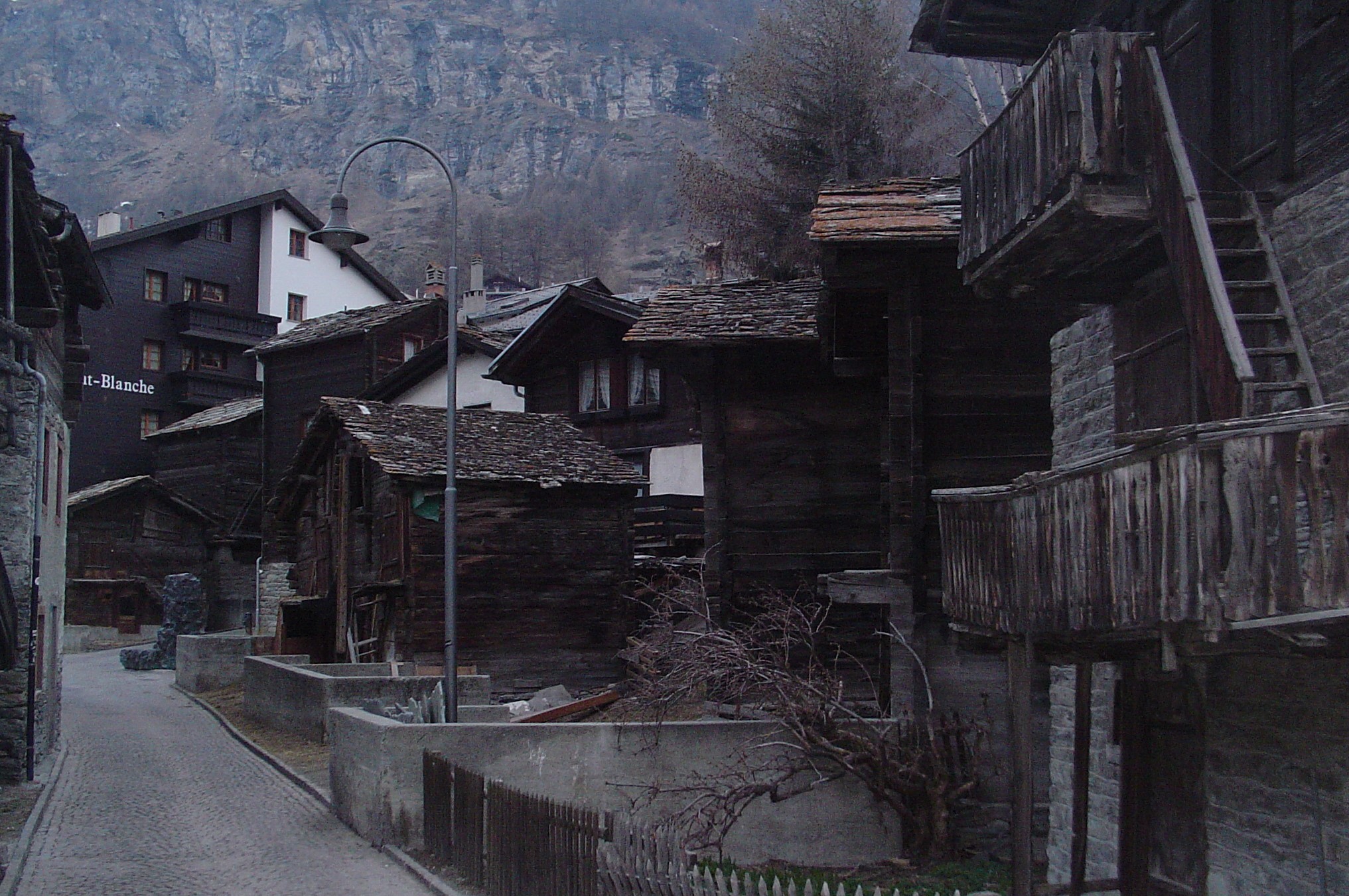 Fascinating New World – Allie Reynolds